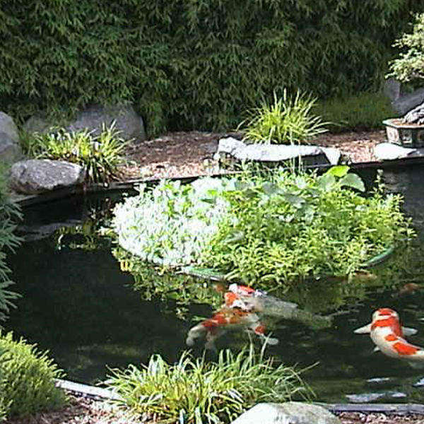Teichbau, Teichpflege, Teichtechnik, Teichzubehör